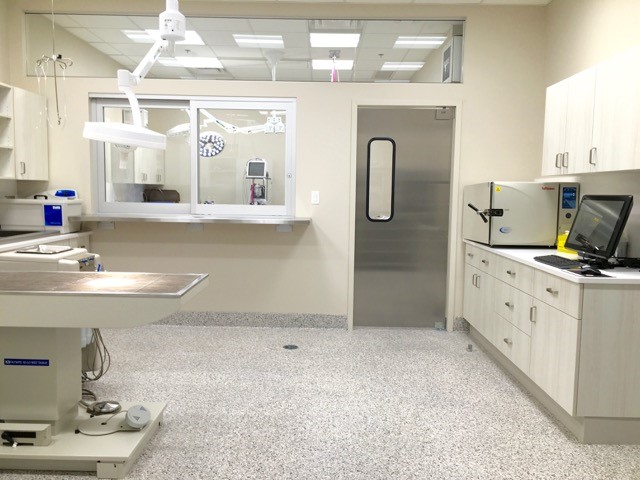 Surrey Veterinary Clinic Tour | All Creatures Animal Hospital